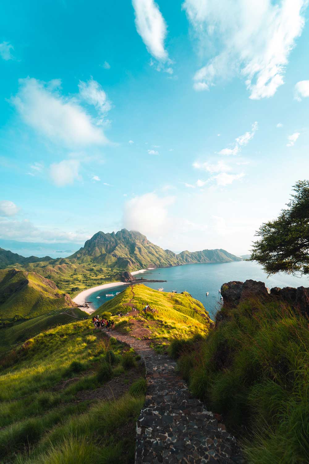 Travigo - Travel for everyone